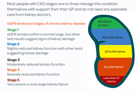 Chronic Kidney Disease (CKD) – Court Road Surgery